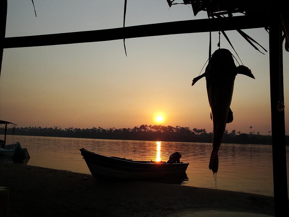 Começa nesta sexta-feira o período de defeso de oito espécies de peixes ... Começa nesta sexta-feira o período de defeso de oito espécies de peixes ...