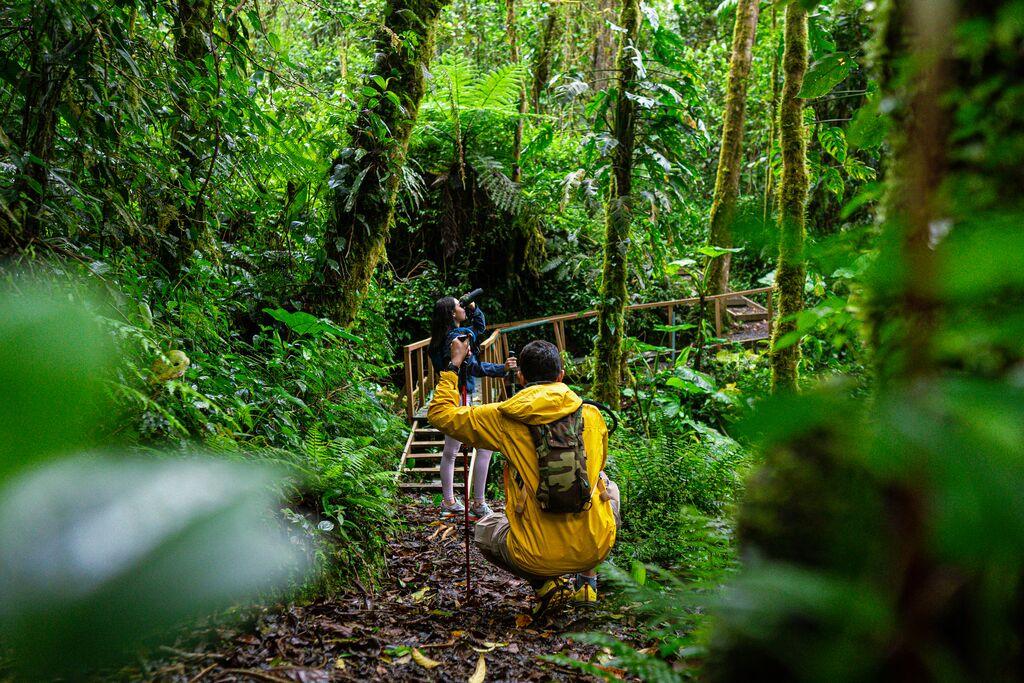 Panamá é pioneiro no turismo regenerativo